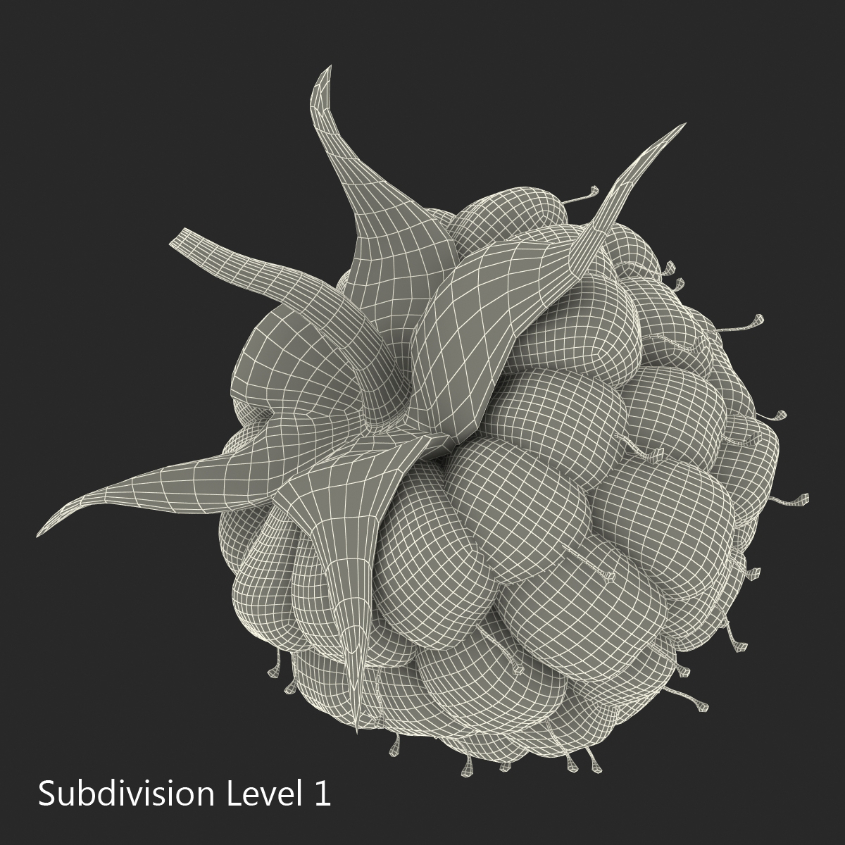 ripe raspberry modeled 3d model