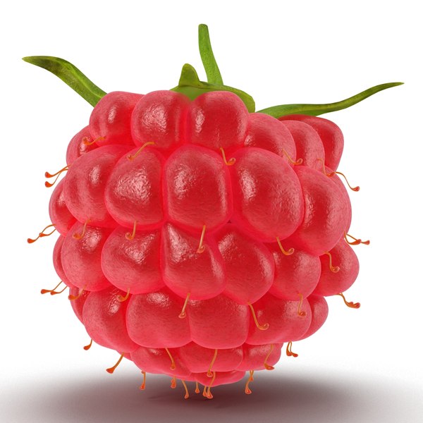ripe raspberry modeled 3d model
