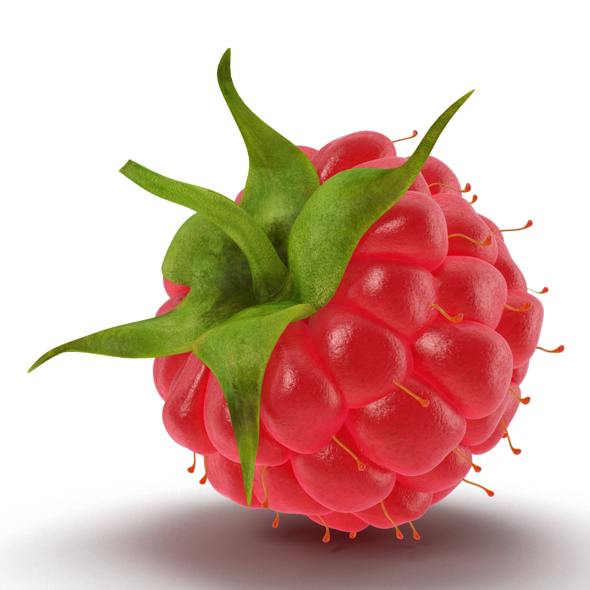 ripe raspberry modeled 3d model