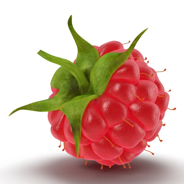 ripe raspberry modeled 3d model