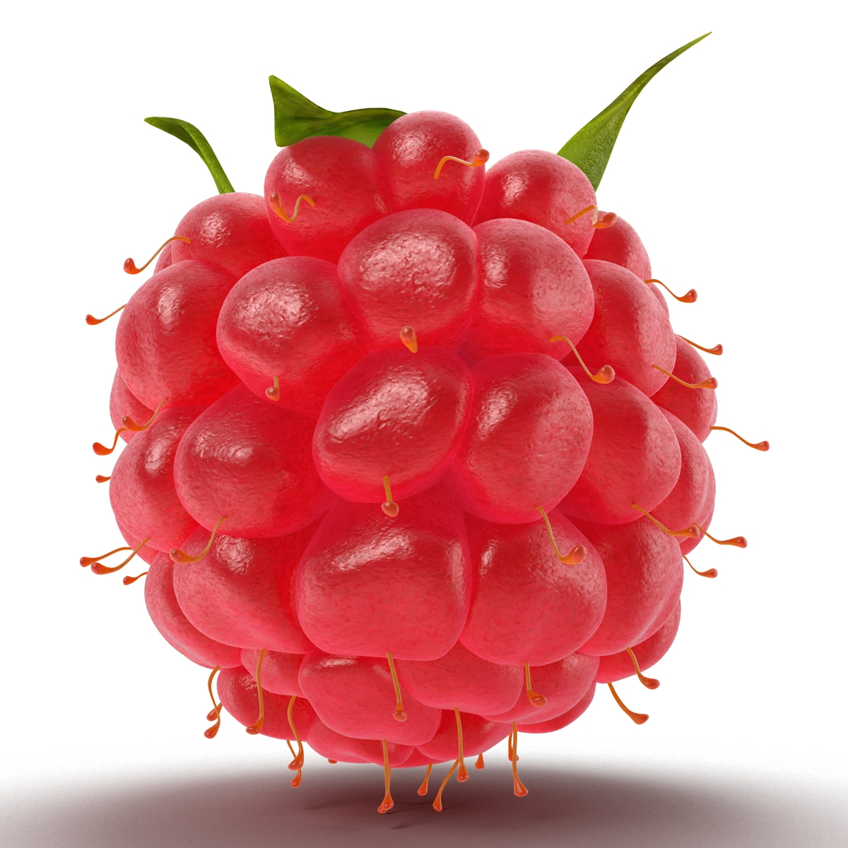 ripe raspberry modeled 3d model