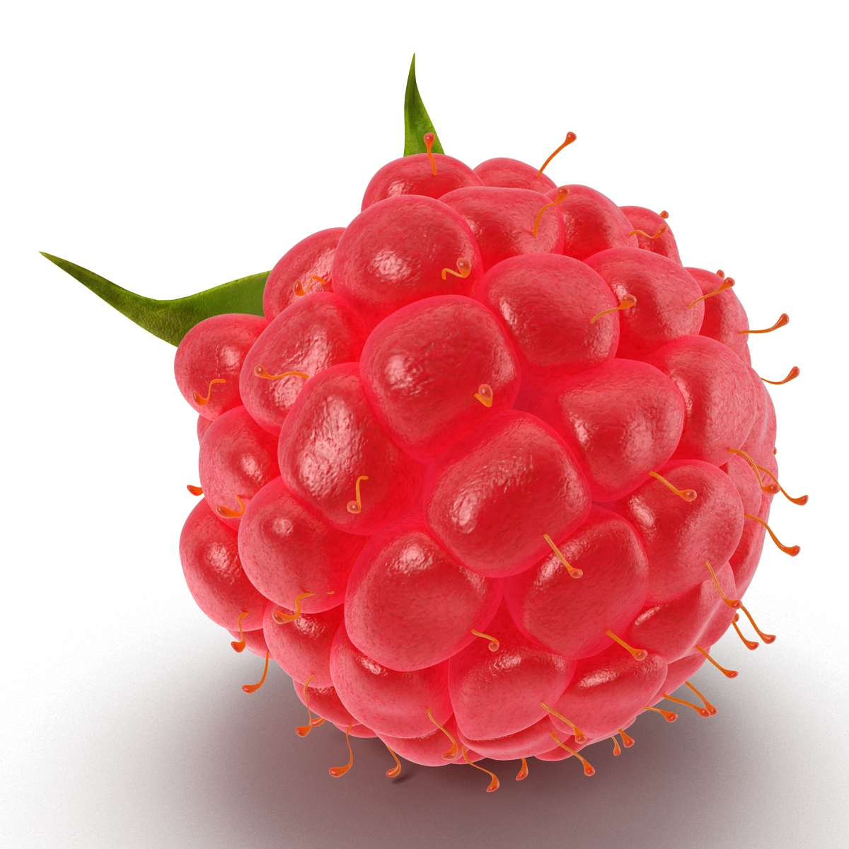 ripe raspberry modeled 3d model