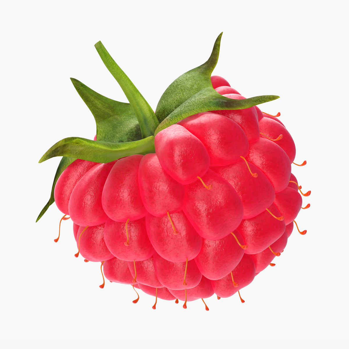 ripe raspberry modeled 3d model