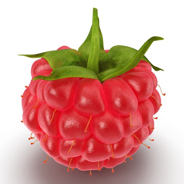 ripe raspberry modeled 3d model