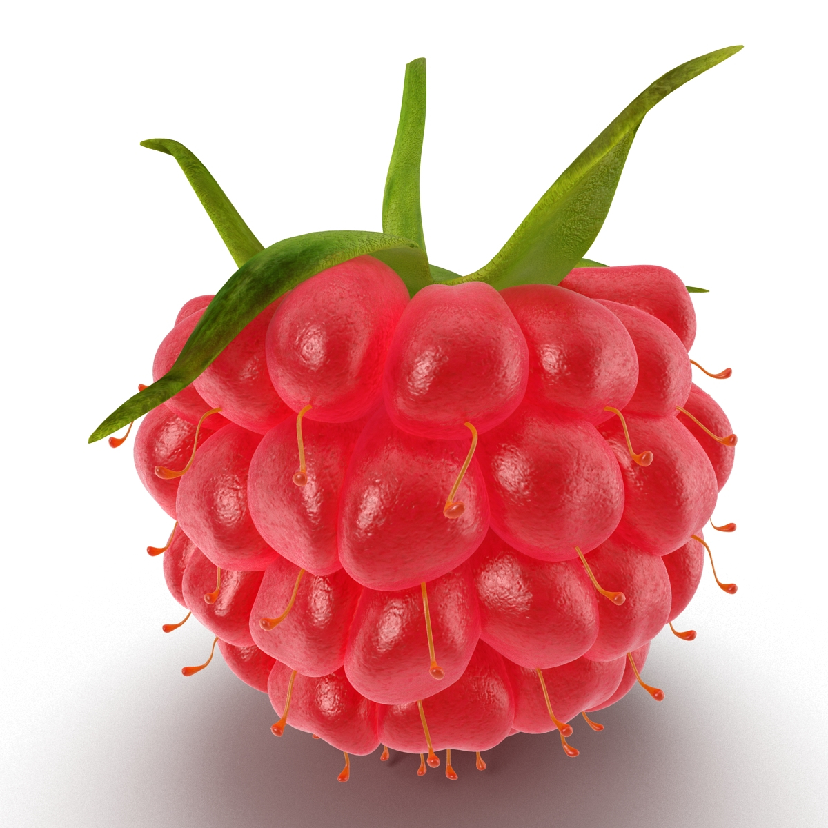 ripe raspberry modeled 3d model