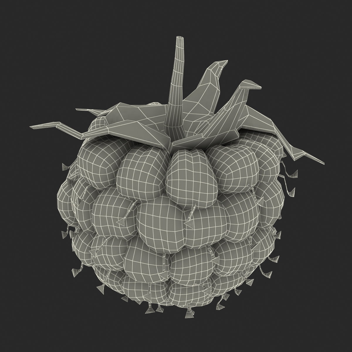 ripe raspberry modeled 3d model
