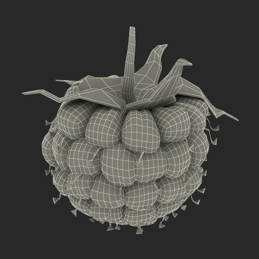 ripe raspberry modeled 3d model