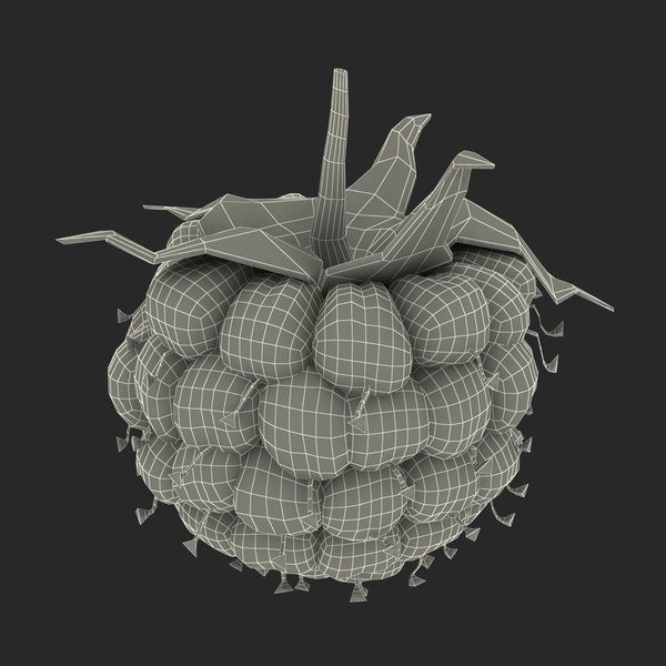 ripe raspberry modeled 3d model