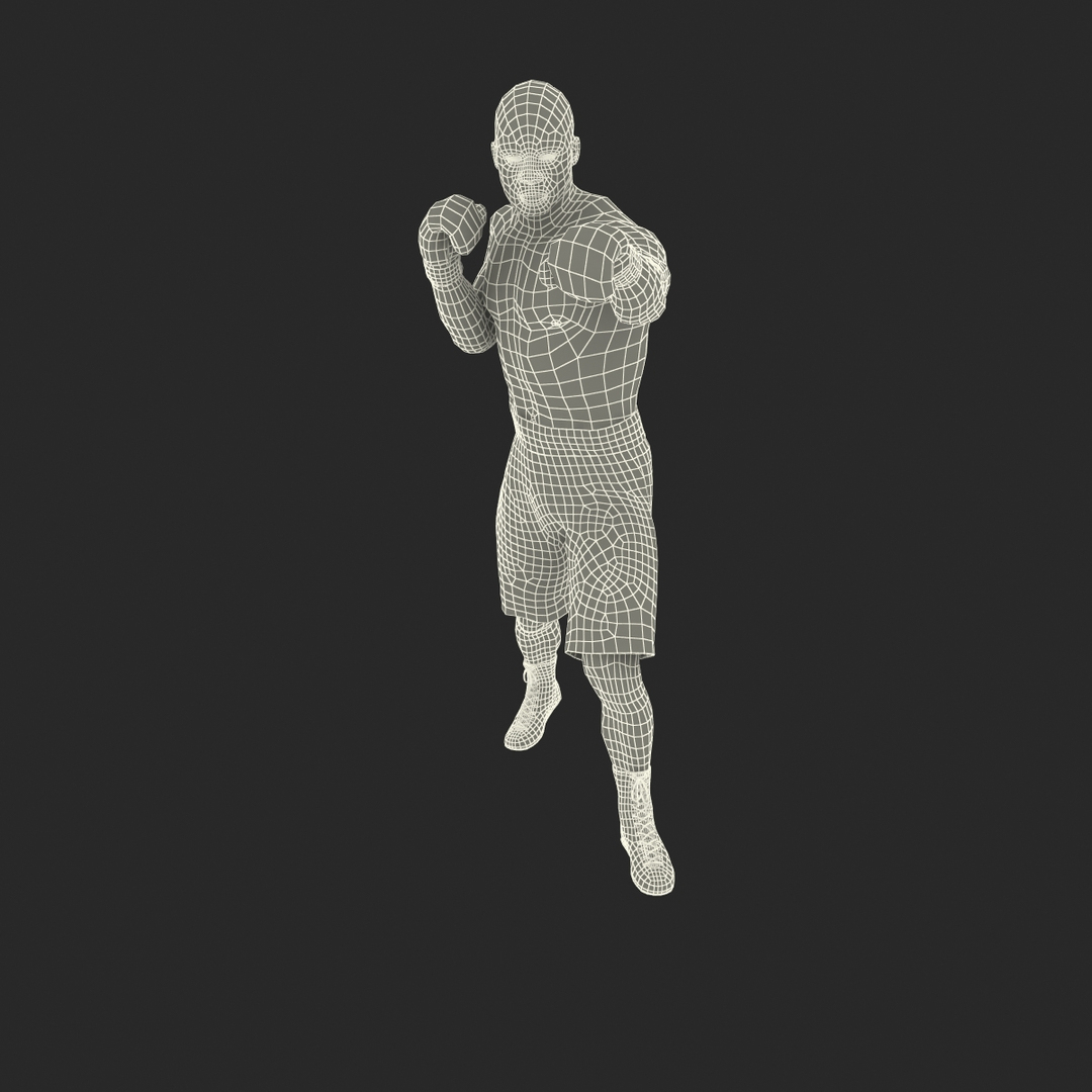 3d Model African American Boxer 2