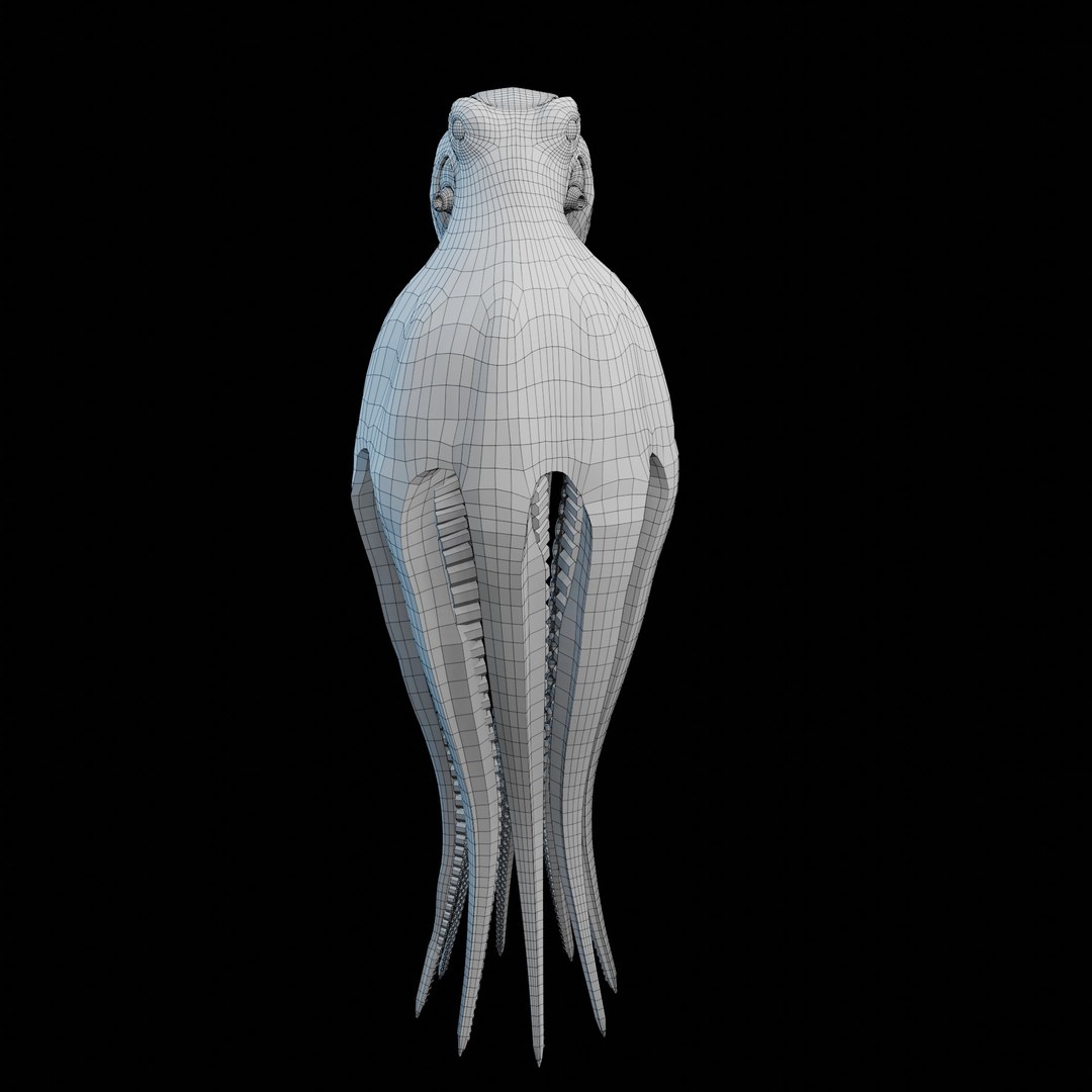 3D Giant Pacific Octopus model - TurboSquid 1983823