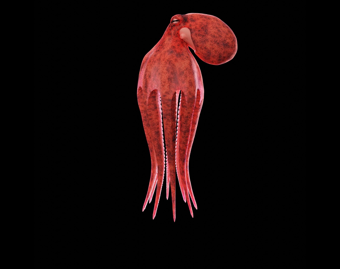 3D Giant Pacific Octopus Model - TurboSquid 1983823
