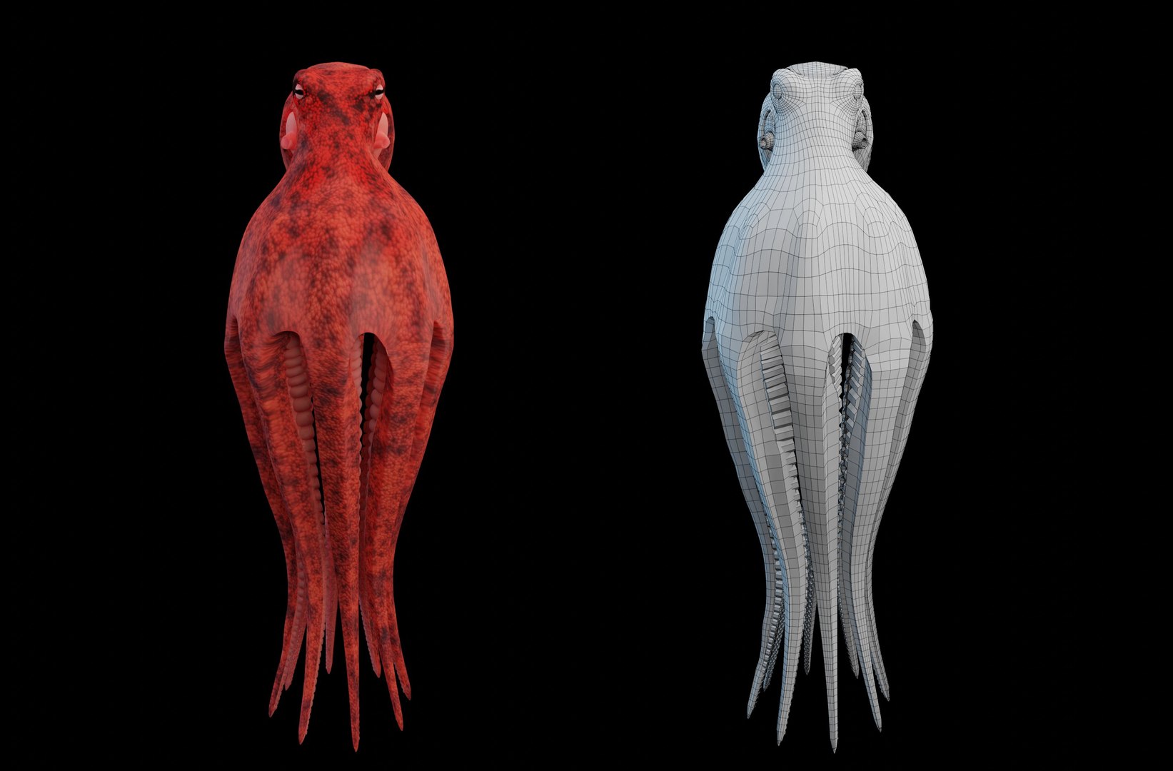3D Giant Pacific Octopus Model - TurboSquid 1983823