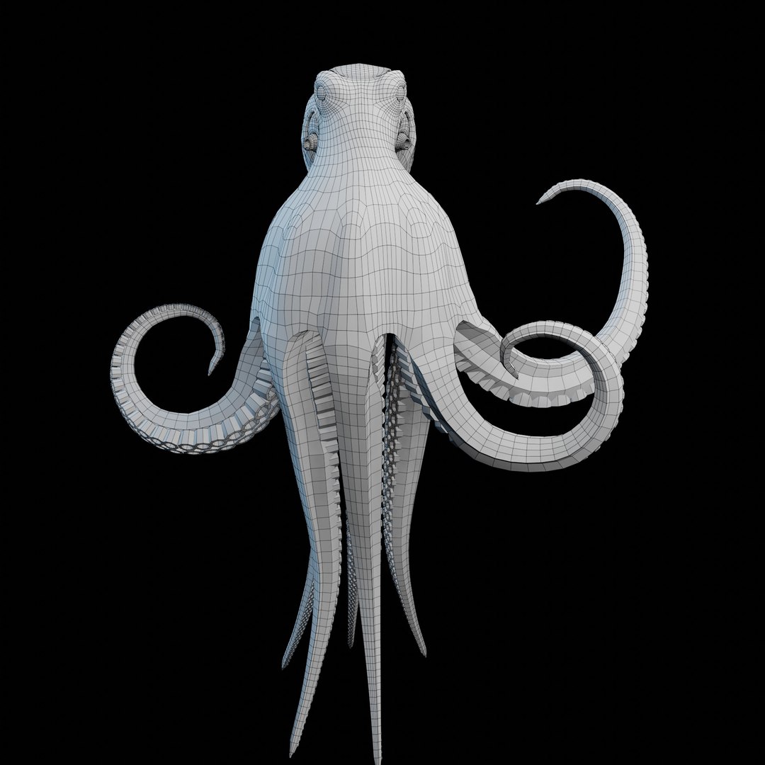 3D Giant Pacific Octopus model - TurboSquid 1983823