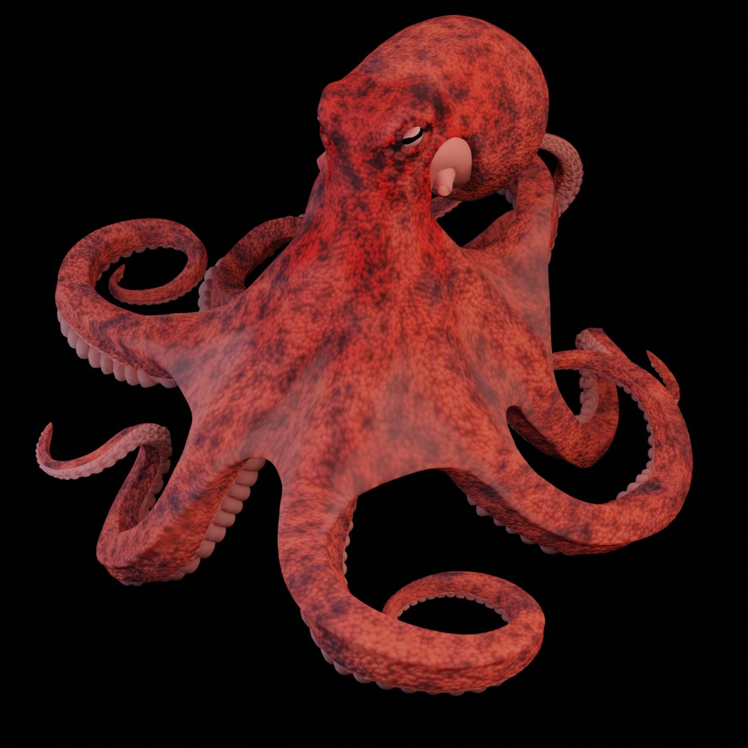 3D Giant Pacific Octopus Model - TurboSquid 1983823