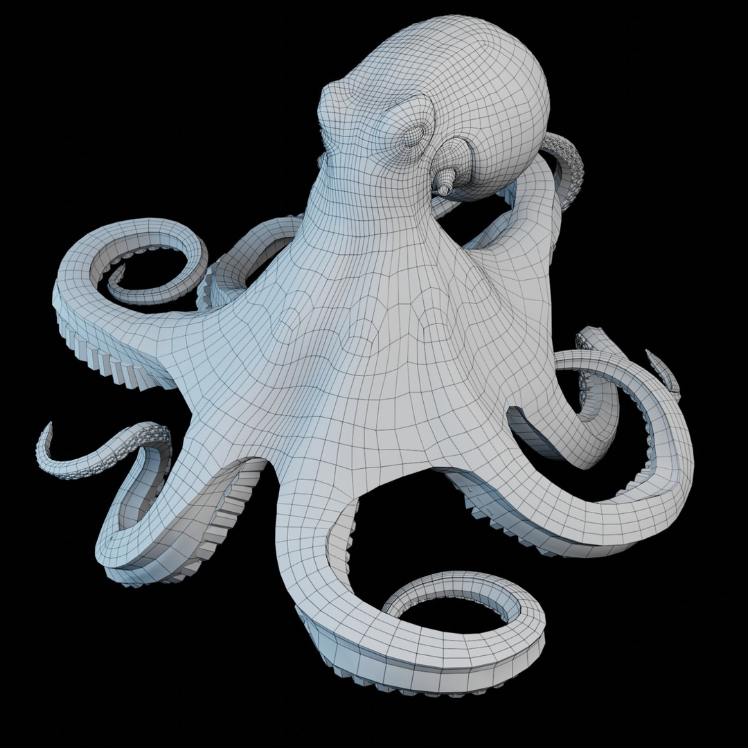 3D Giant Pacific Octopus Model - TurboSquid 1983823