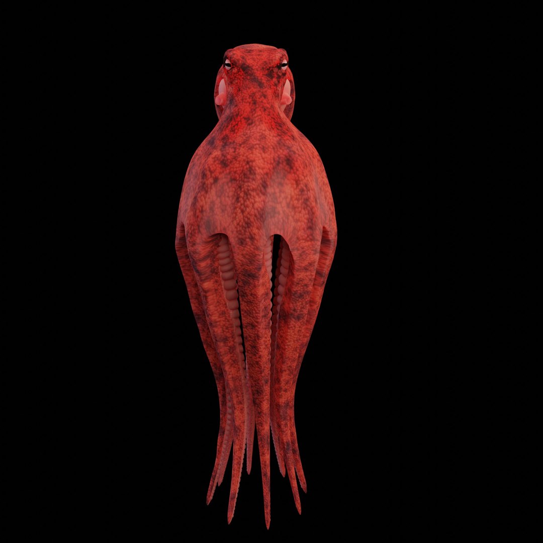 3D Giant Pacific Octopus Model - TurboSquid 1983823