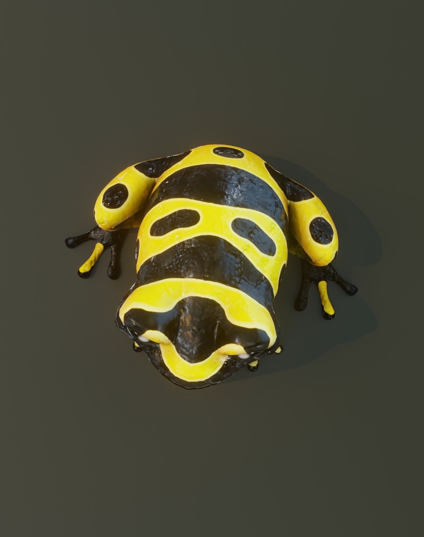 3D Cartoon Yellow-banded Frog - TurboSquid 1773610