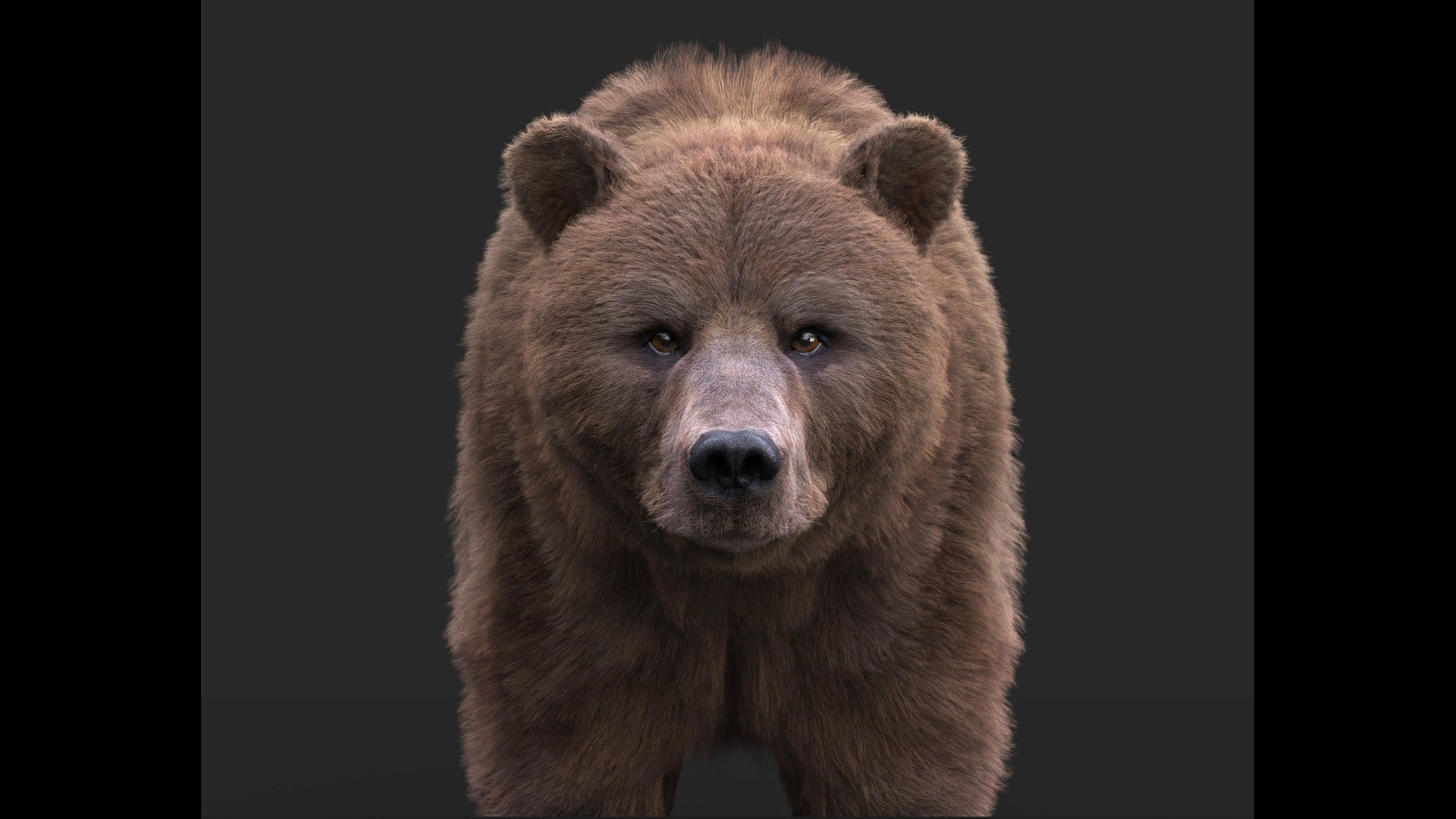 3D BEAR XGEN-CORE Model - TurboSquid 1722621