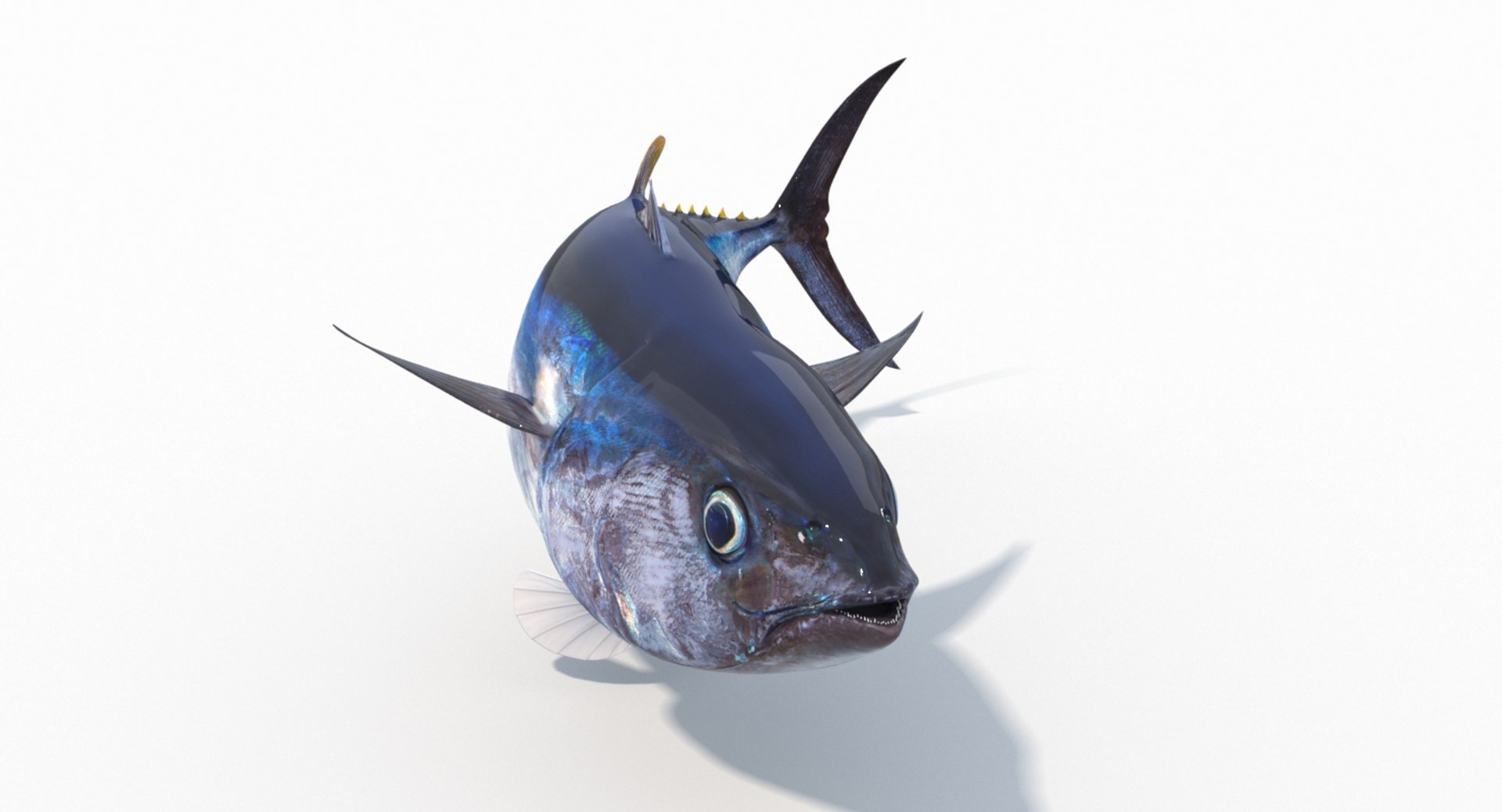 Tuna Fish Animation 3D - TurboSquid 1243932