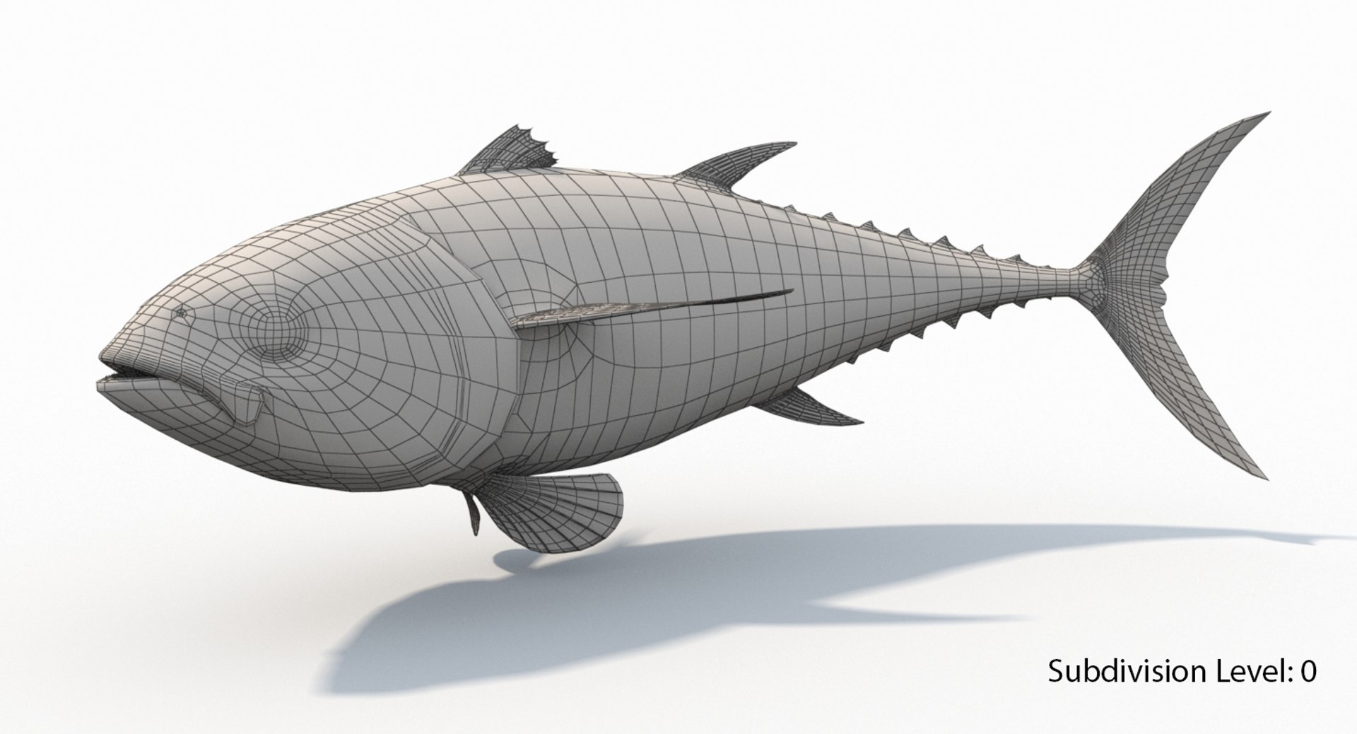 Tuna Fish Animation 3D - TurboSquid 1243932