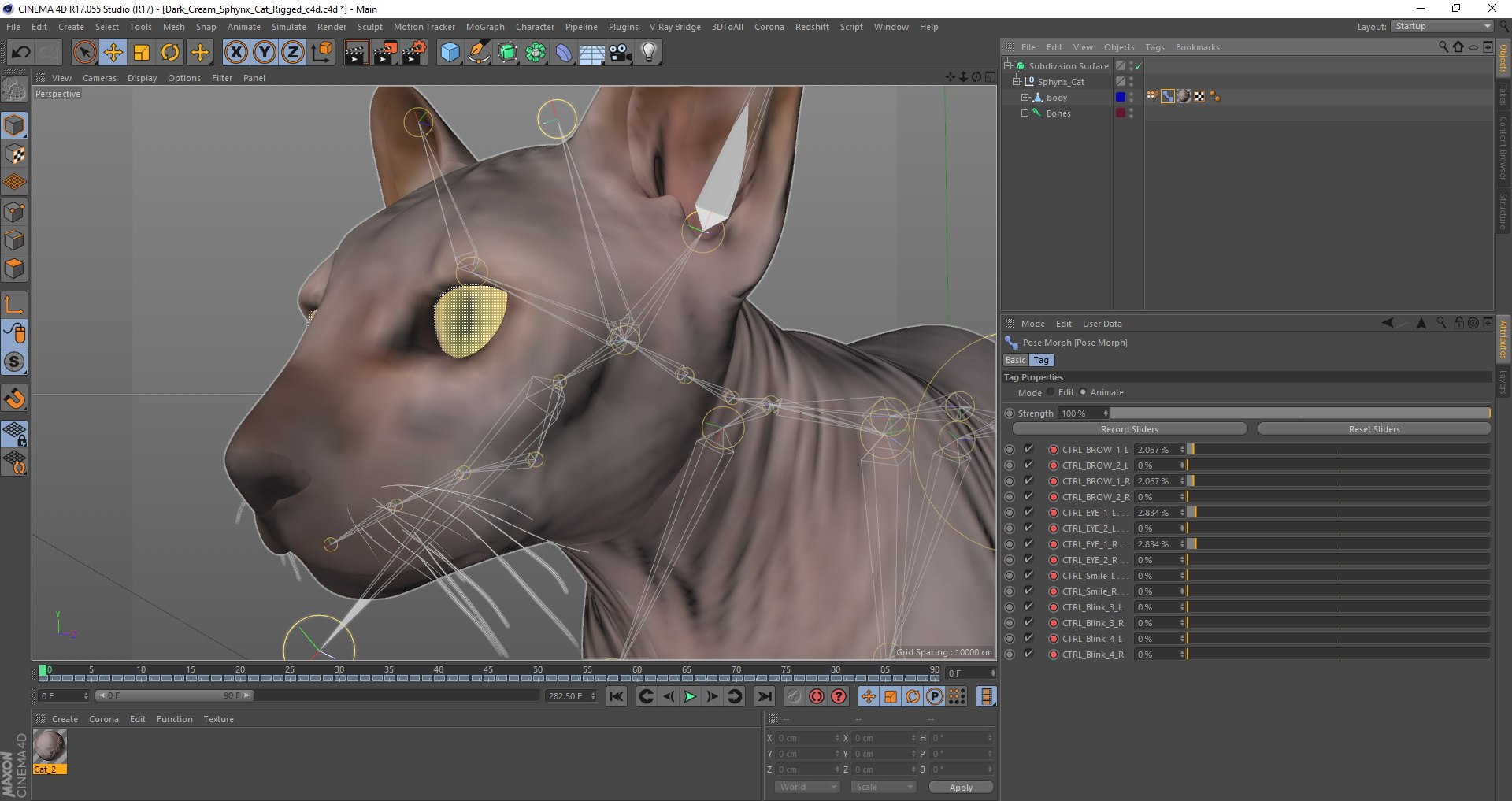 Dark Cream Sphynx Cat 3D - TurboSquid 1662995