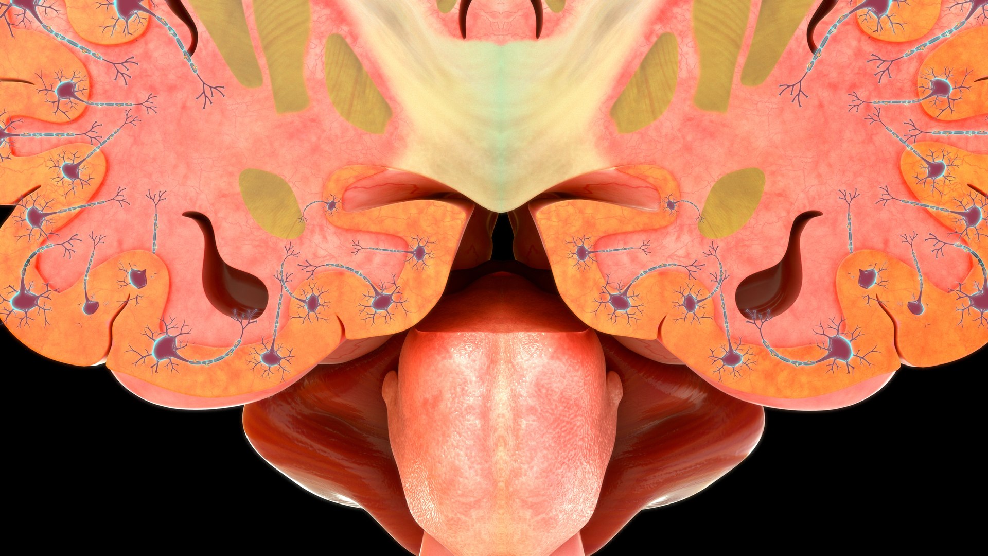 3D Human Brain Cross Section With Neurons - TurboSquid 2190110