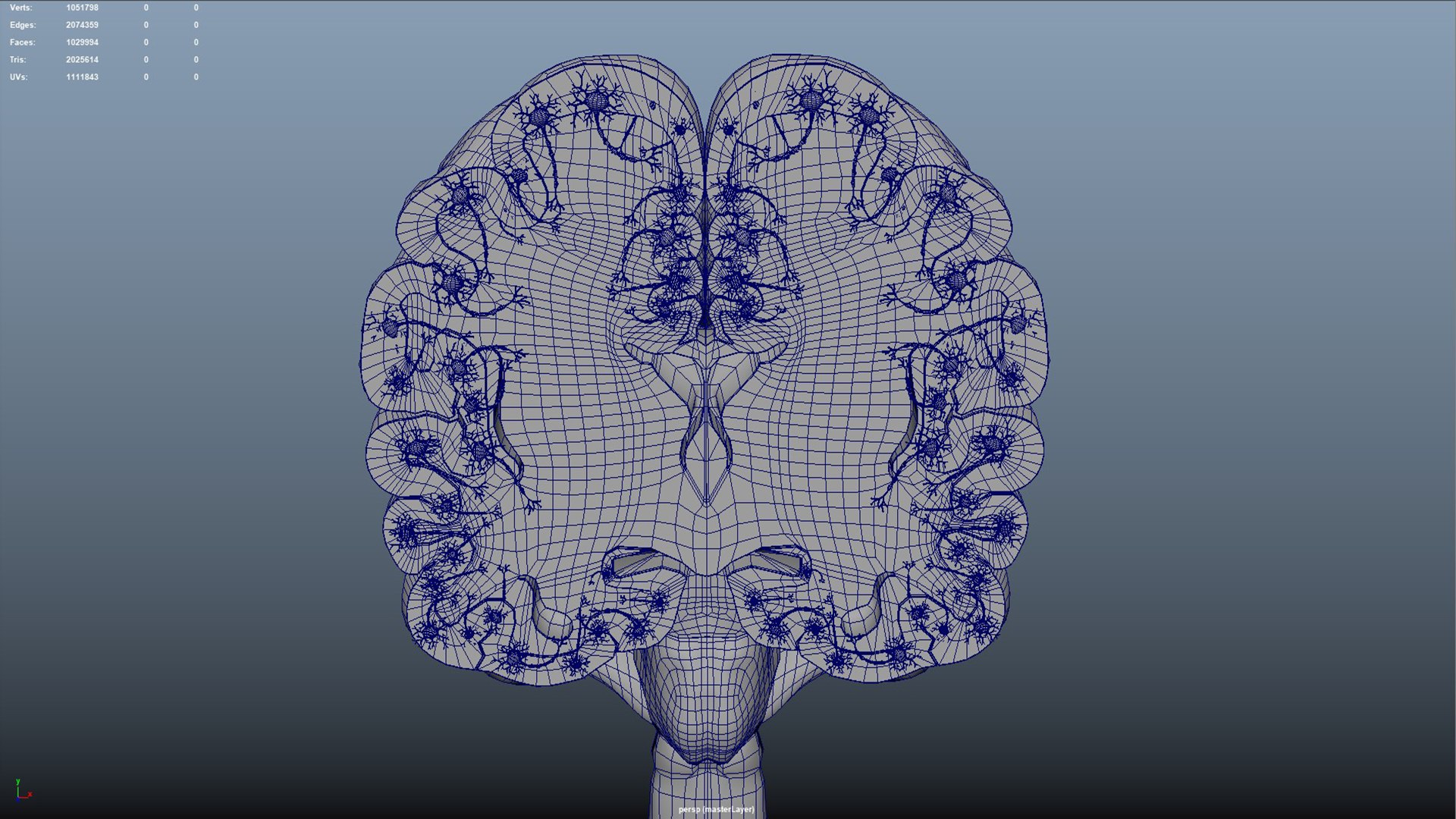 3D Human Brain Cross Section With Neurons - TurboSquid 2190110