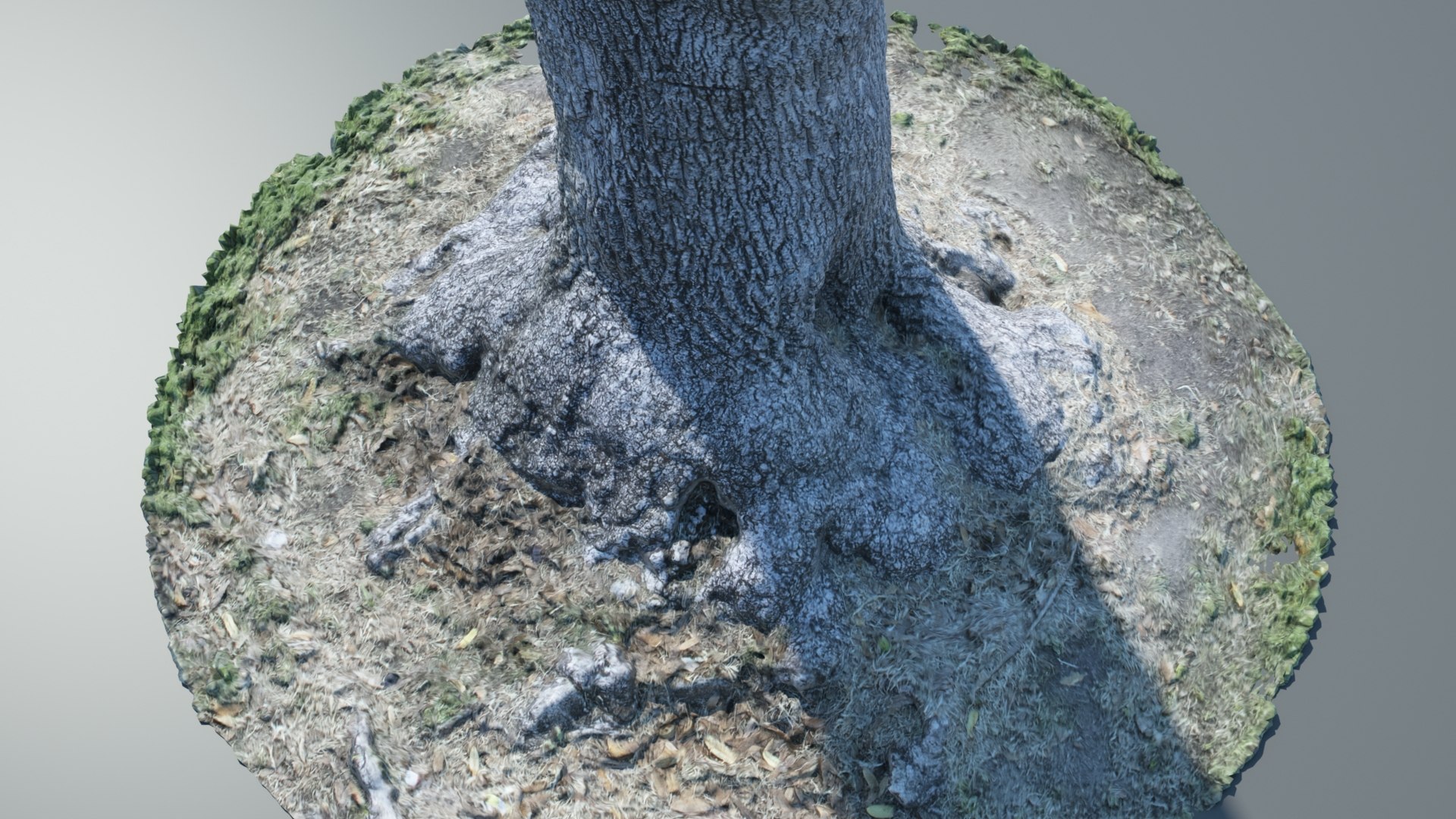 3D Tree Trunk - Model - TurboSquid 1446822