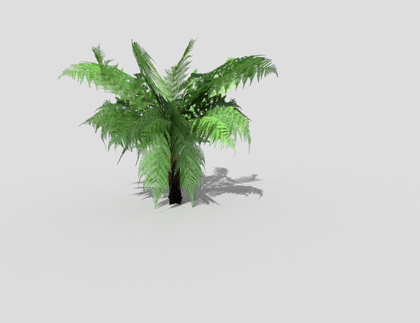 3d plant