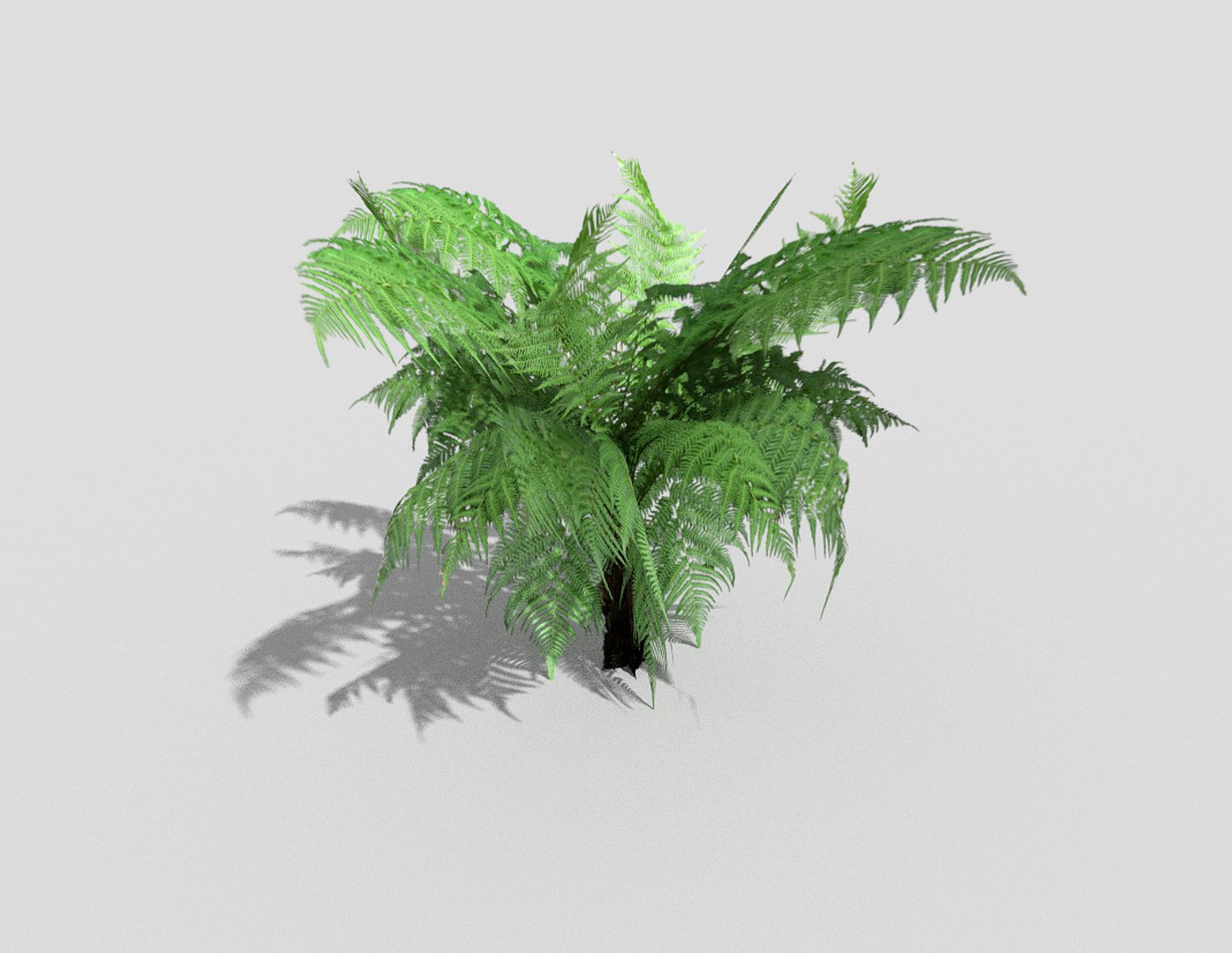 3d plant