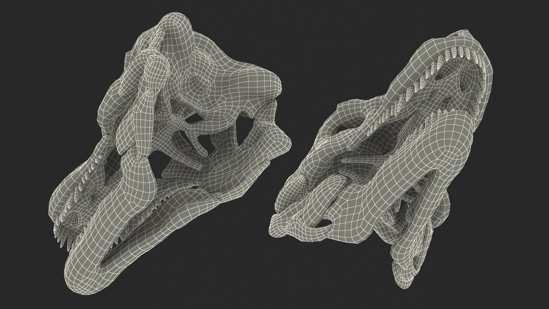 3D Tyrannosaurus Rex Skeleton Animal Skin - TurboSquid 1482360