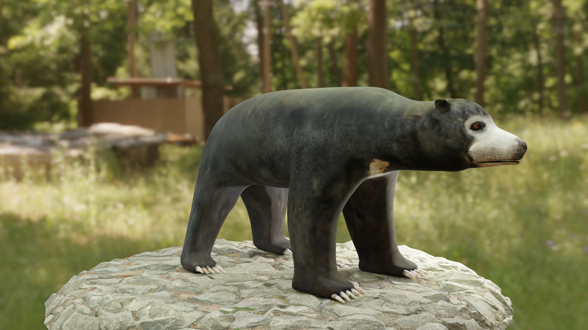 Sunbear Model 3D Model - TurboSquid 2208221