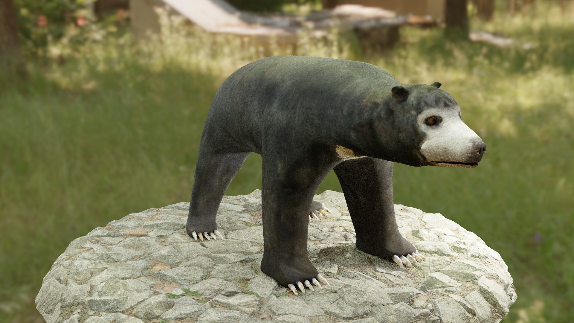 Sunbear Model 3D Model - TurboSquid 2208221