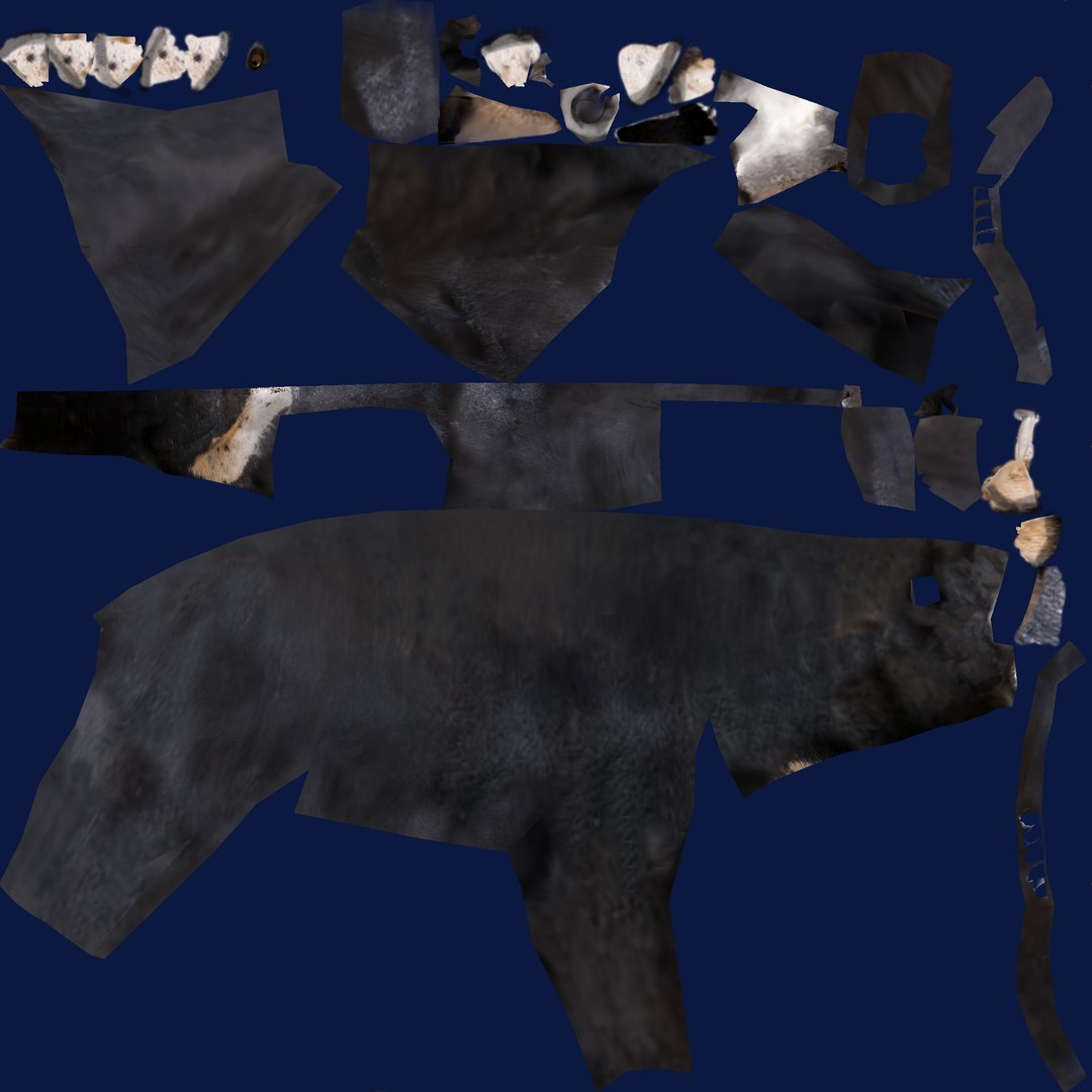 Sunbear Model 3D Model - TurboSquid 2208221