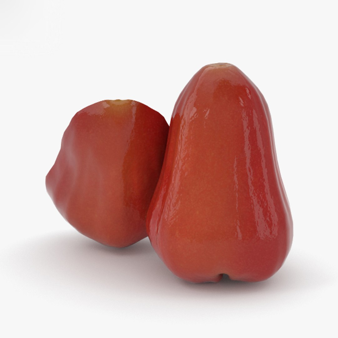 Rose apple 3D model - TurboSquid 1398788