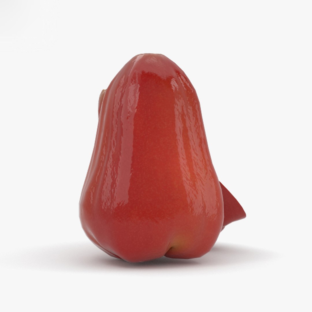 Rose apple 3D model - TurboSquid 1398788