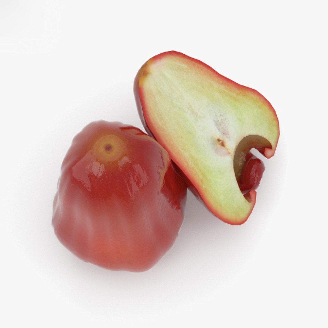 Rose apple 3D model - TurboSquid 1398788