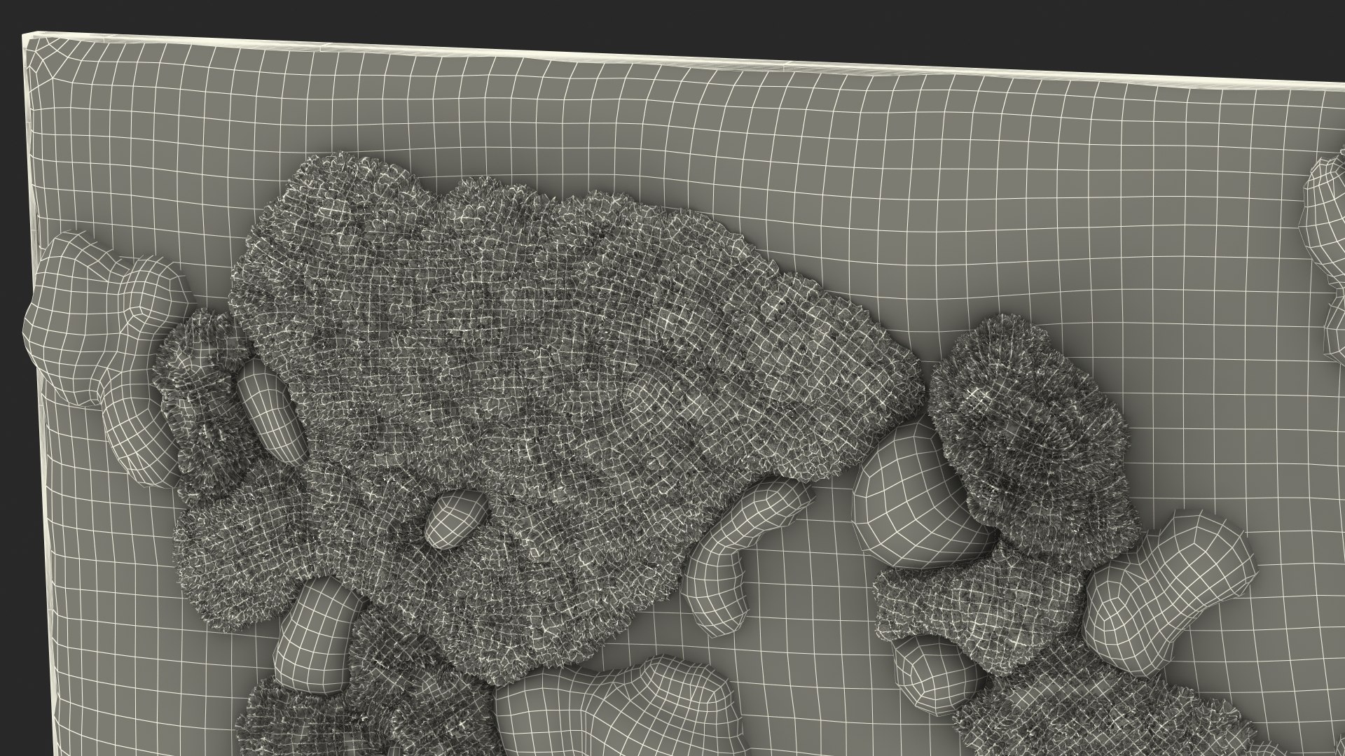 3D moss wall - TurboSquid 1657284