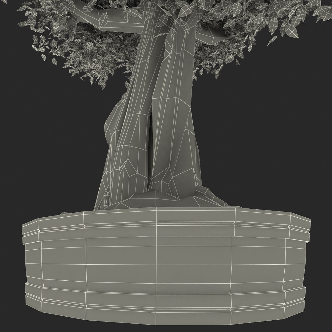 Bonsai Tree 5 3d Obj