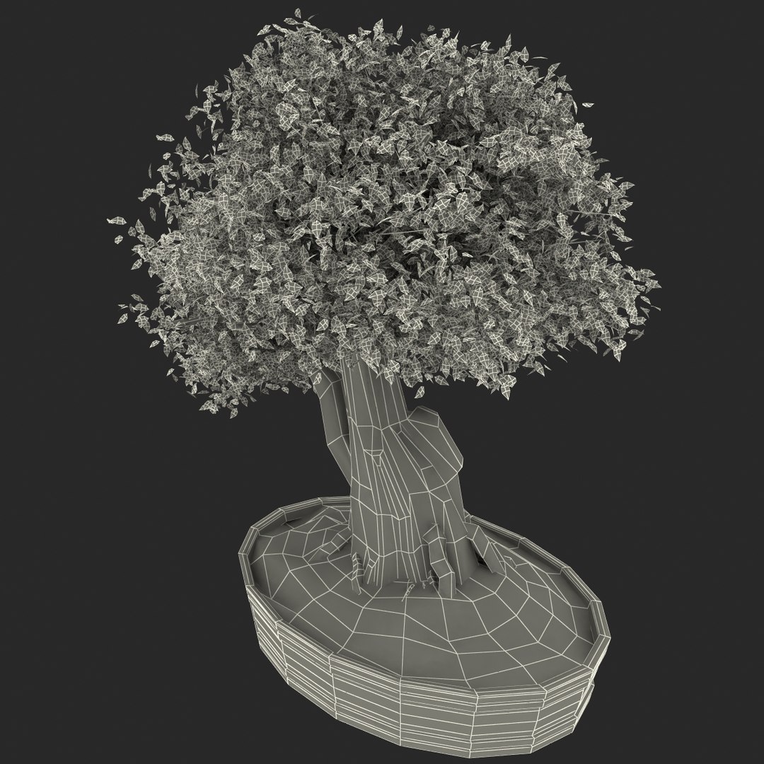 Bonsai Tree 5 3d Obj
