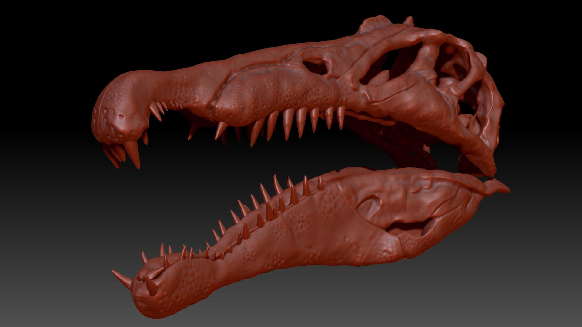 3D Model Spinosaurus Skull Set - TurboSquid 1714701