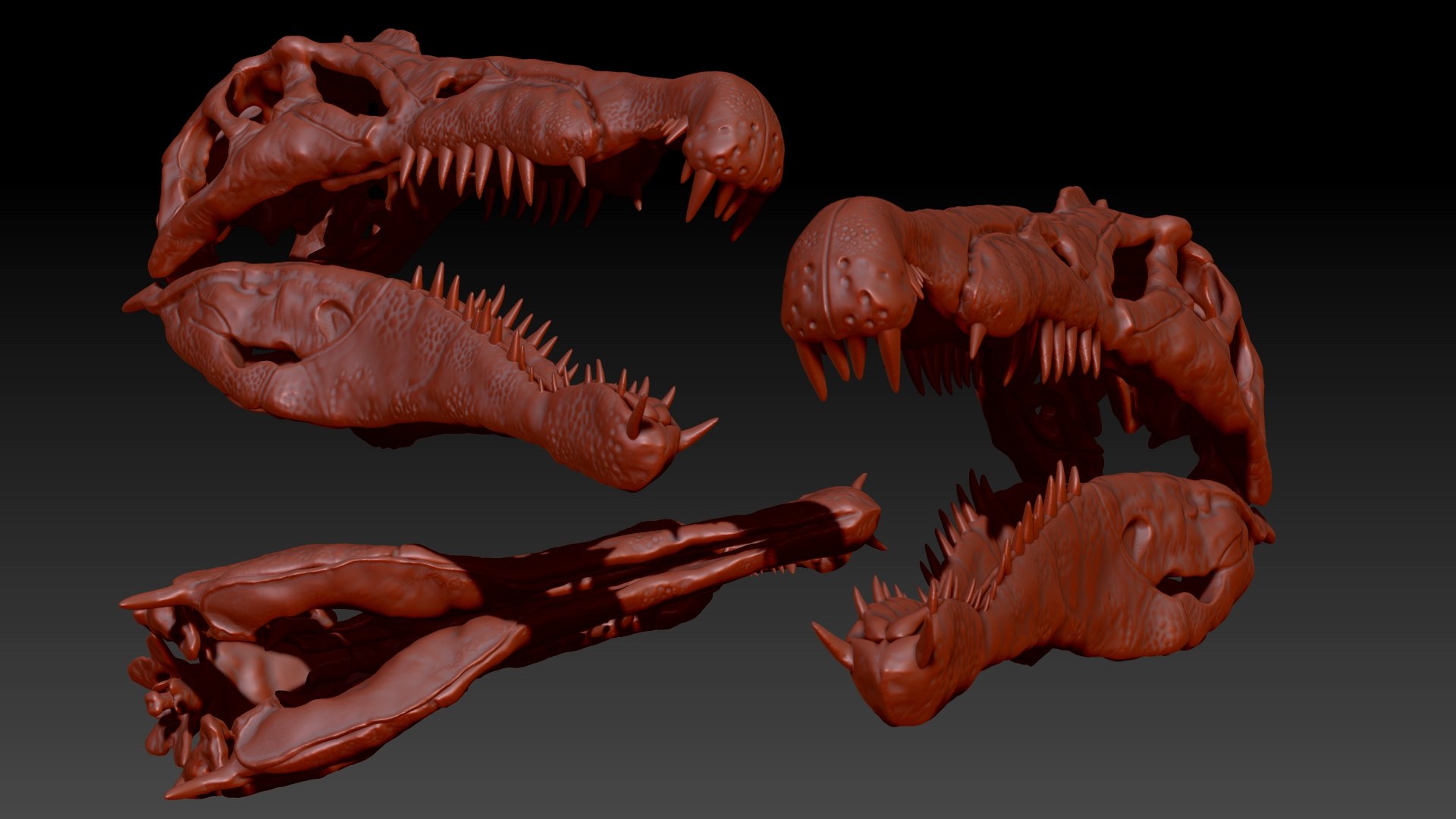3D Model Spinosaurus Skull Set - TurboSquid 1714701