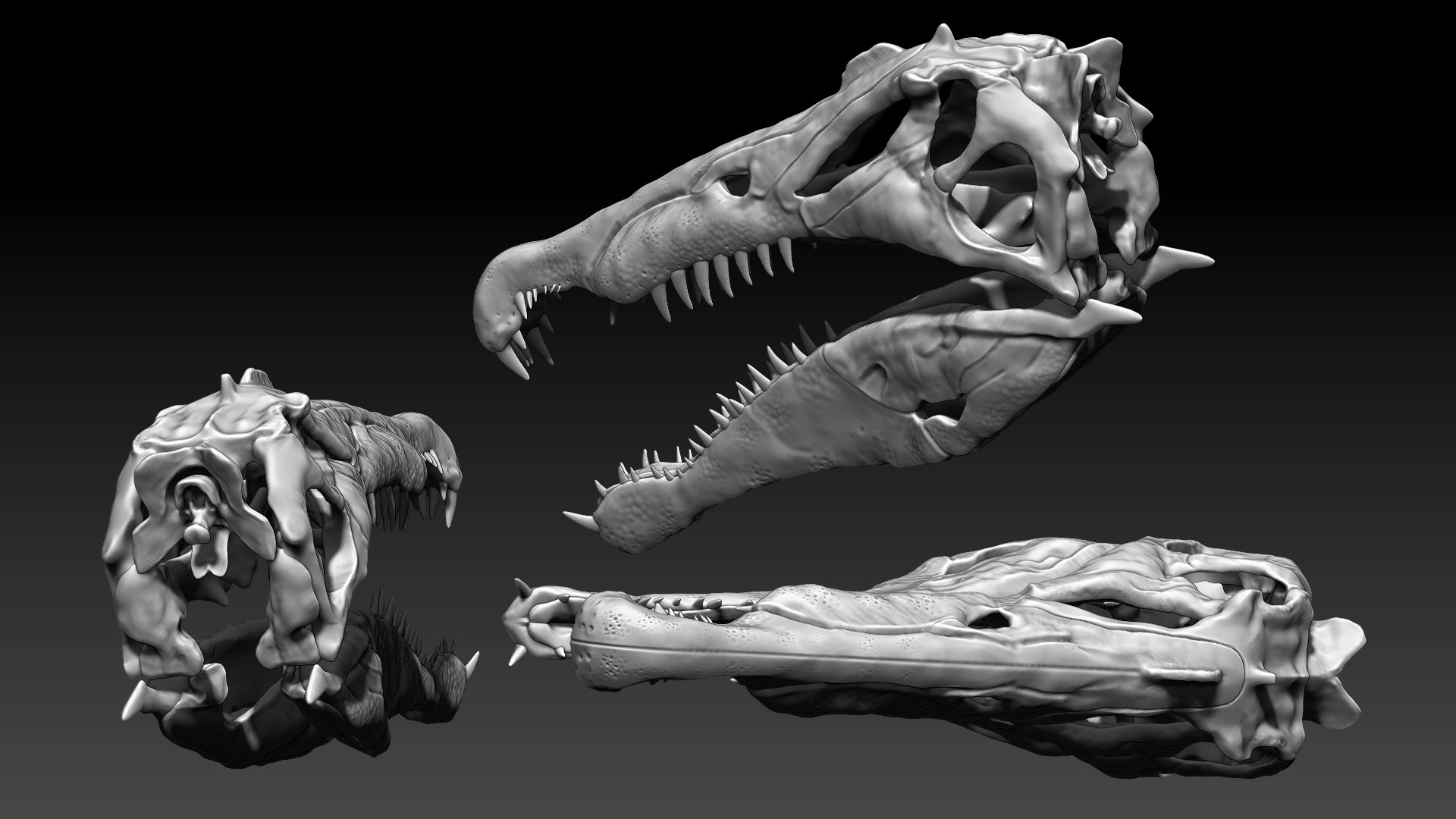 3D Model Spinosaurus Skull Set - TurboSquid 1714701