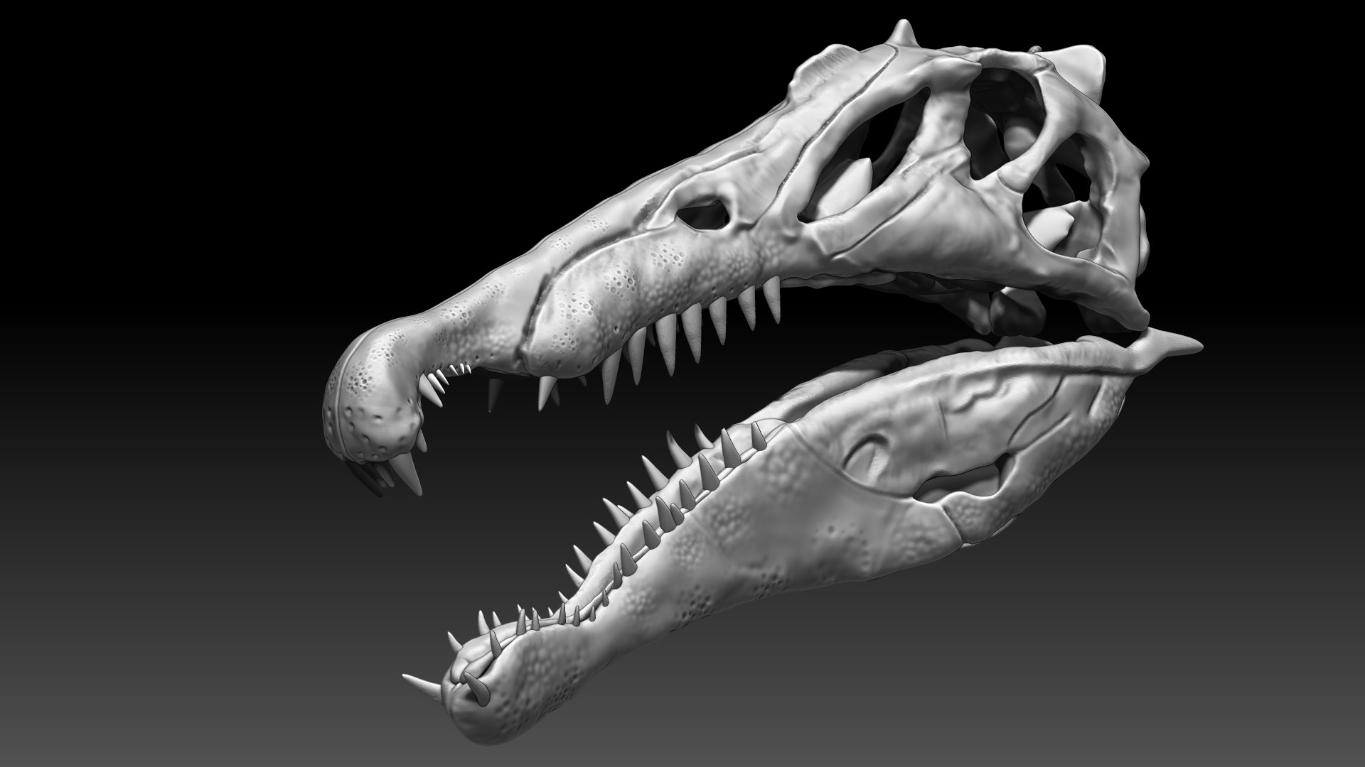 3D Model Spinosaurus Skull Set - TurboSquid 1714701