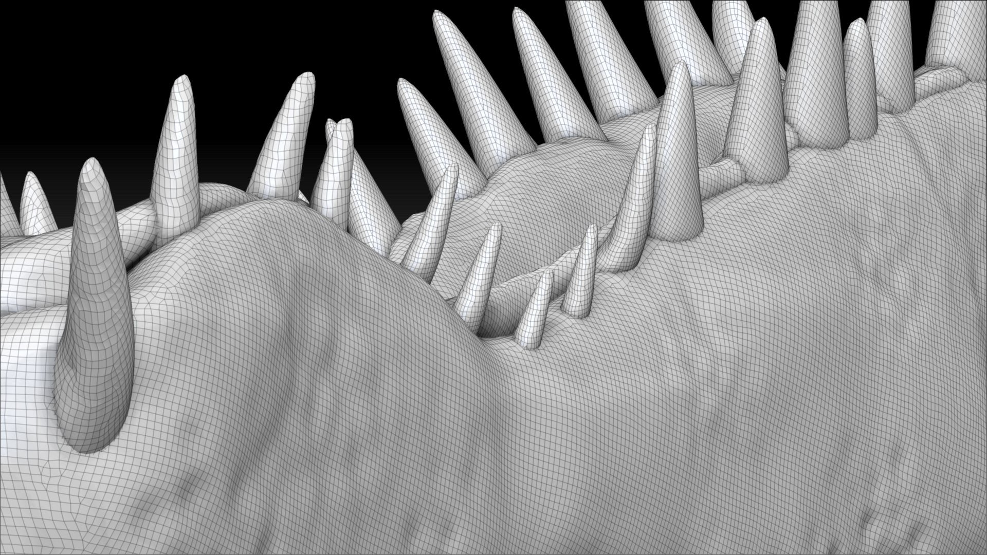 3D Model Spinosaurus Skull Set - TurboSquid 1714701