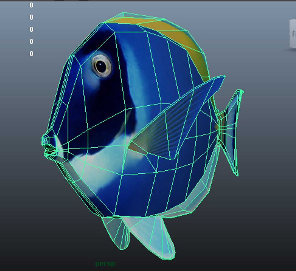 3d model angel fish