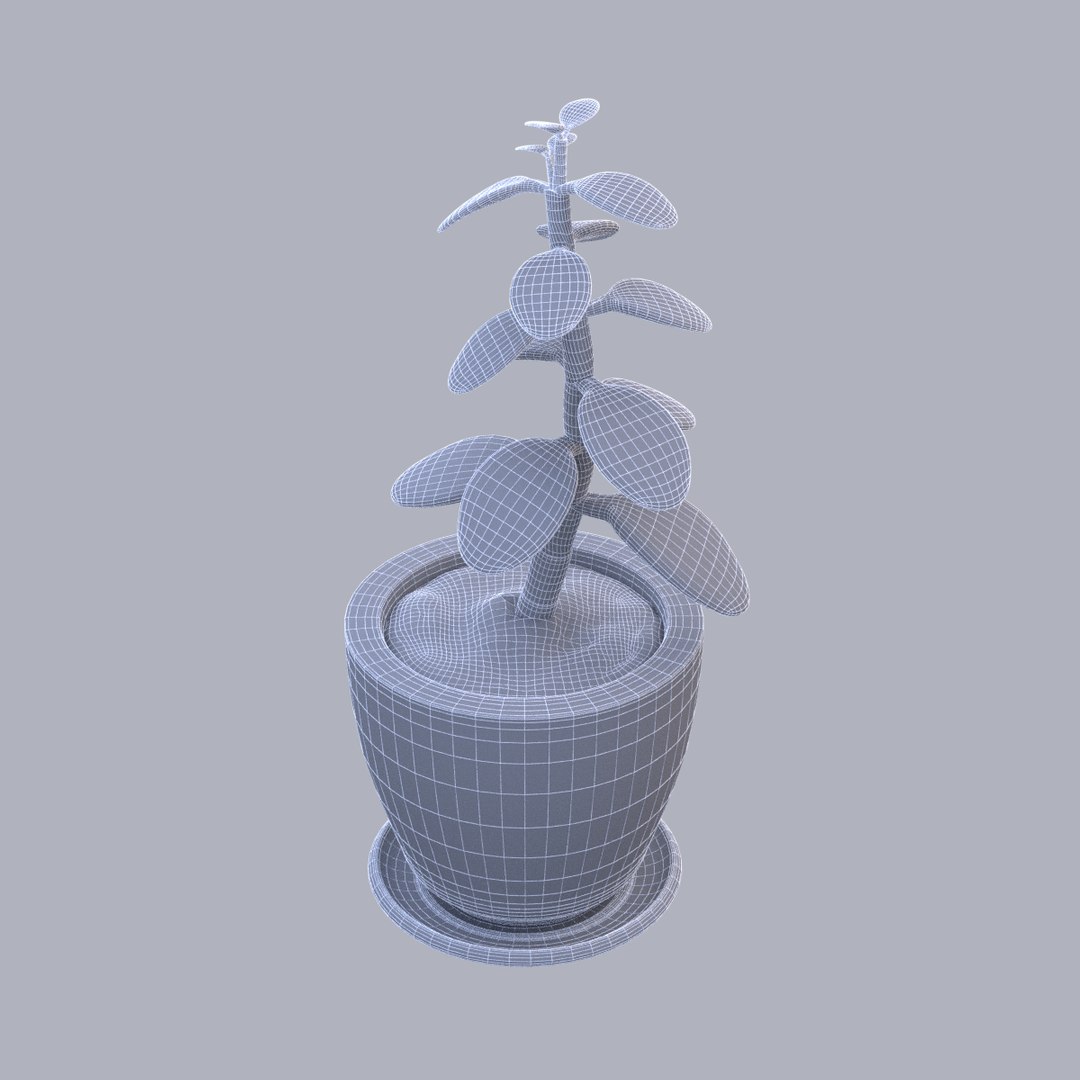 3D Jade Plant - TurboSquid 1199021