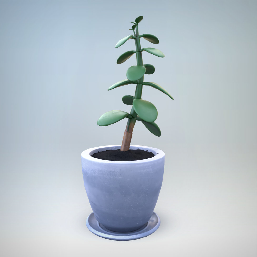 3D Jade Plant - TurboSquid 1199021