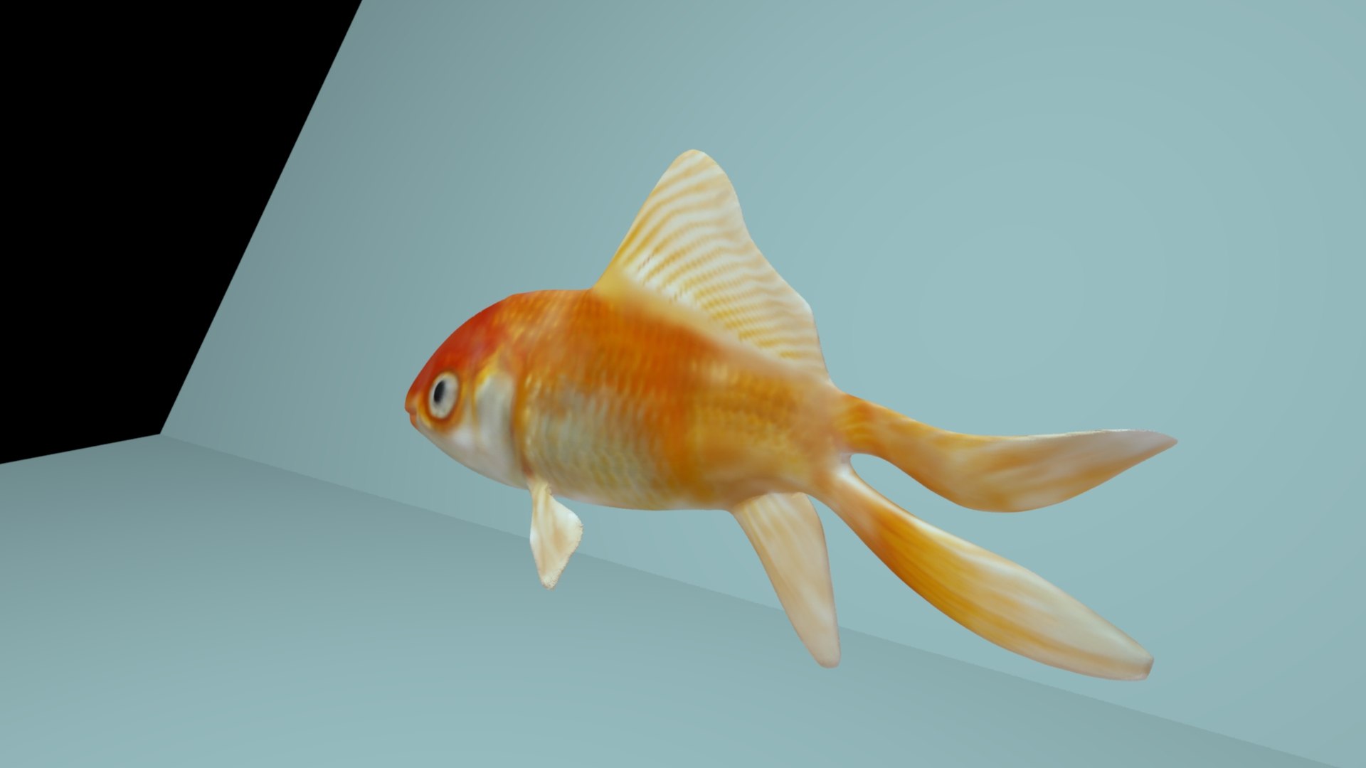 3d Model Goldfish Fish