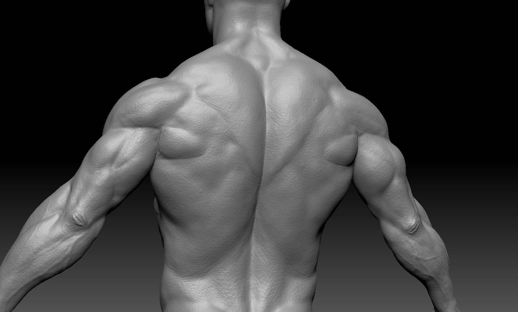 Low-poly character male anatomy 3D model - TurboSquid 1420531